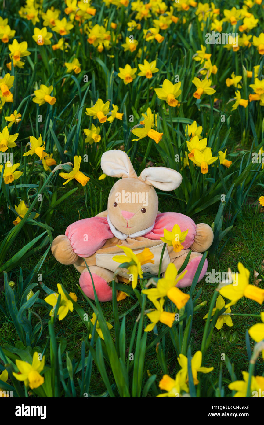 Easter bunny sitting on hi-res stock photography and images - Alamy