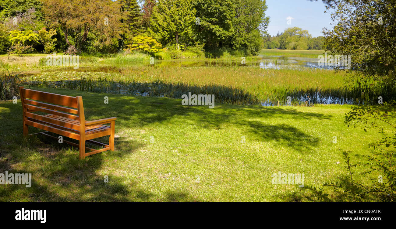 Empty wooden bench in front of a pond in summertime Stock Photo - Alamy