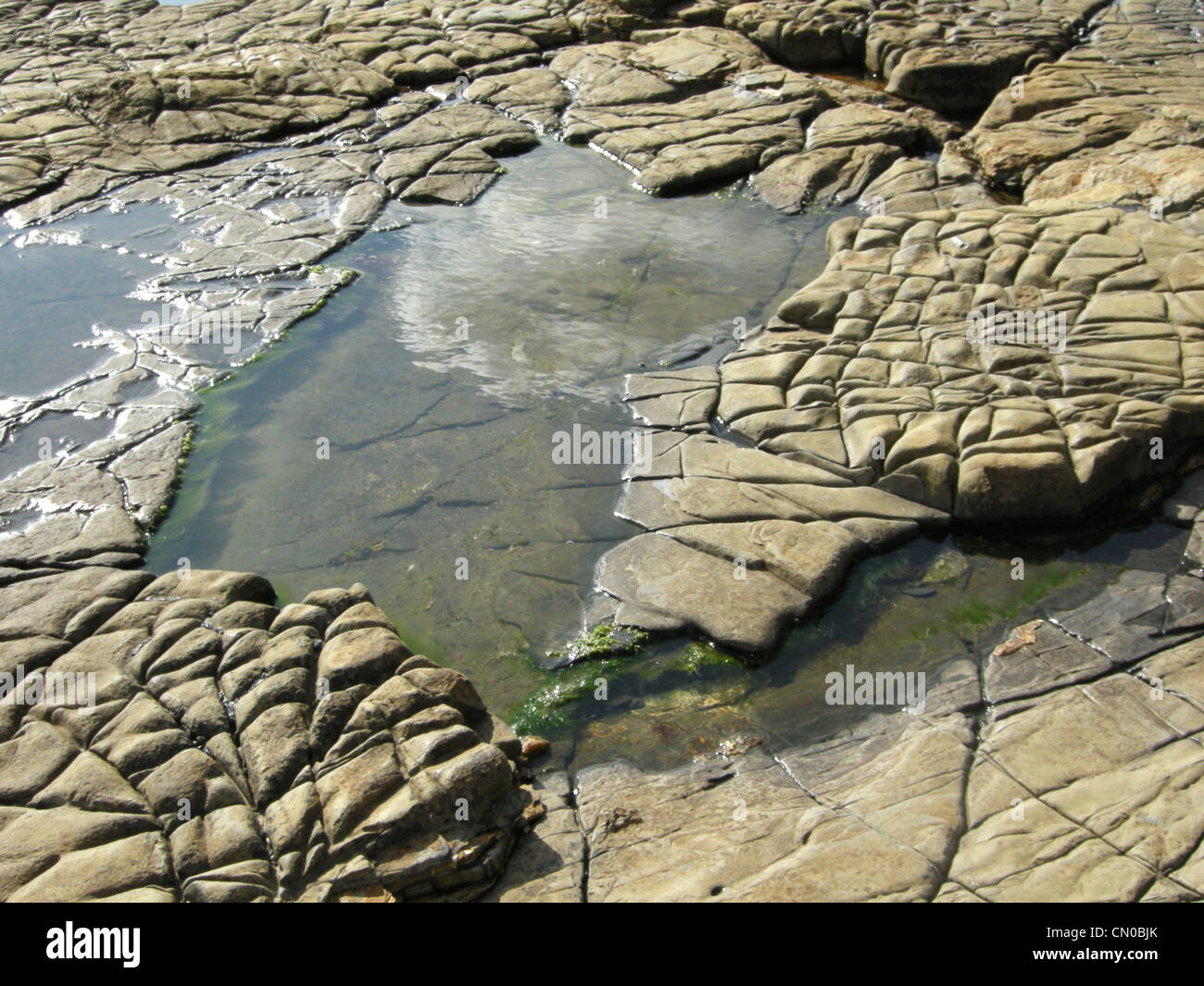 Rock pool rock pools hi-res stock photography and images - Alamy
