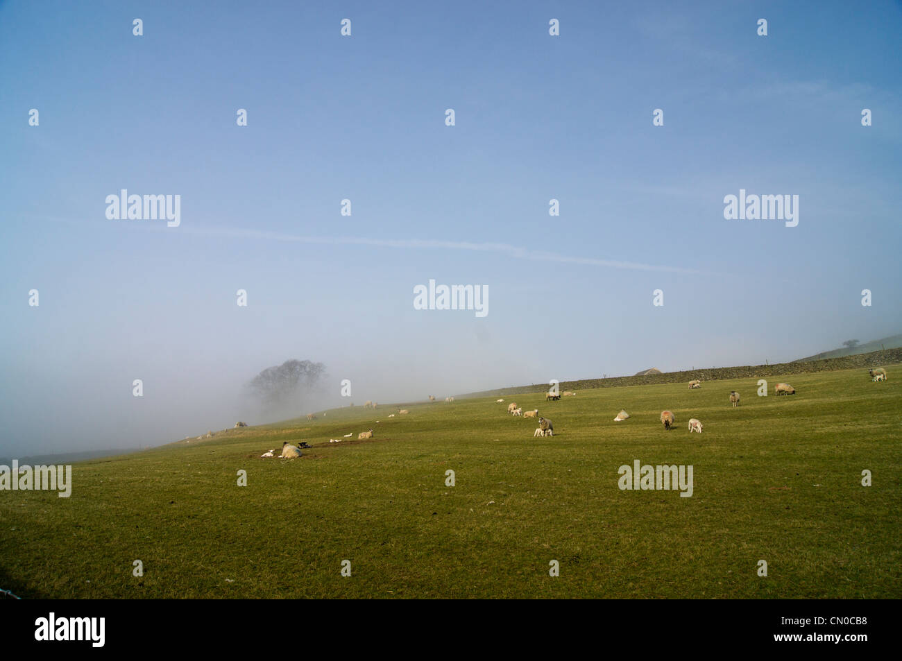 Typical yorkshire dales landscape hi-res stock photography and images ...