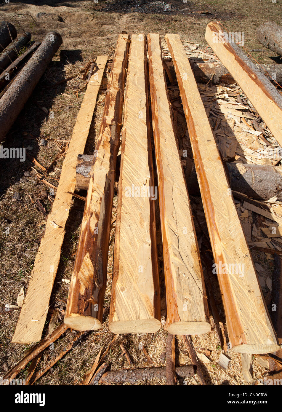 Spruce logs ( picea abies , fir ) are debarked and cut to beams and ...