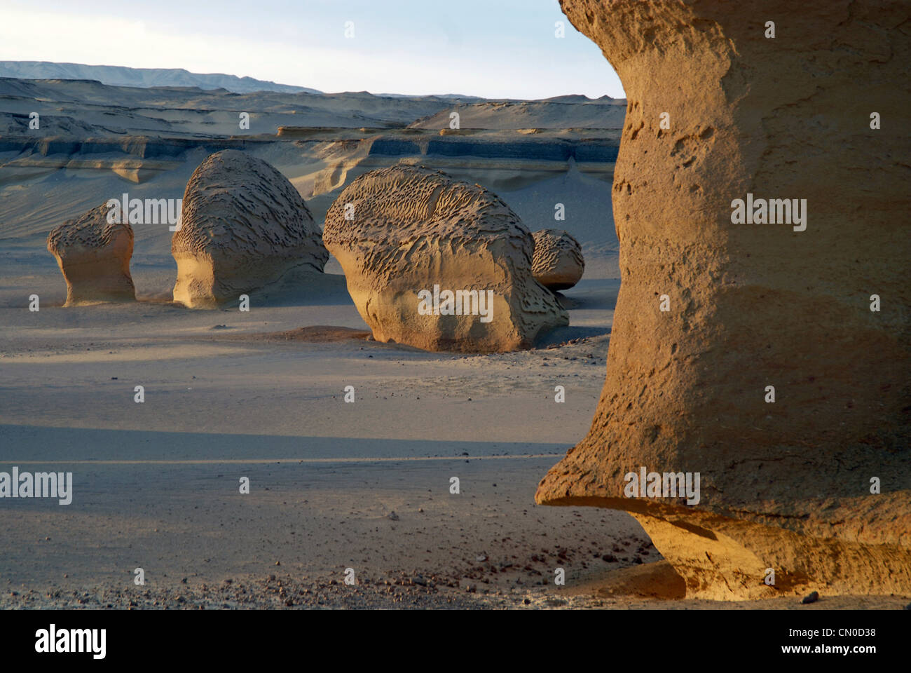 western desert Egypt Stock Photo - Alamy