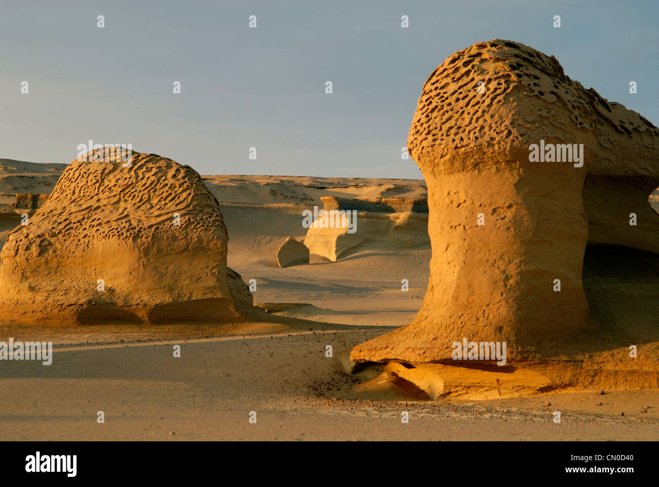 western desert Egypt Stock Photo - Alamy