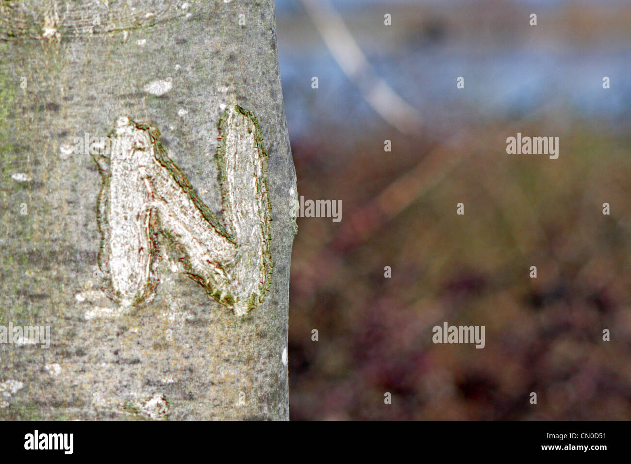 N is for Stock Photo - Alamy