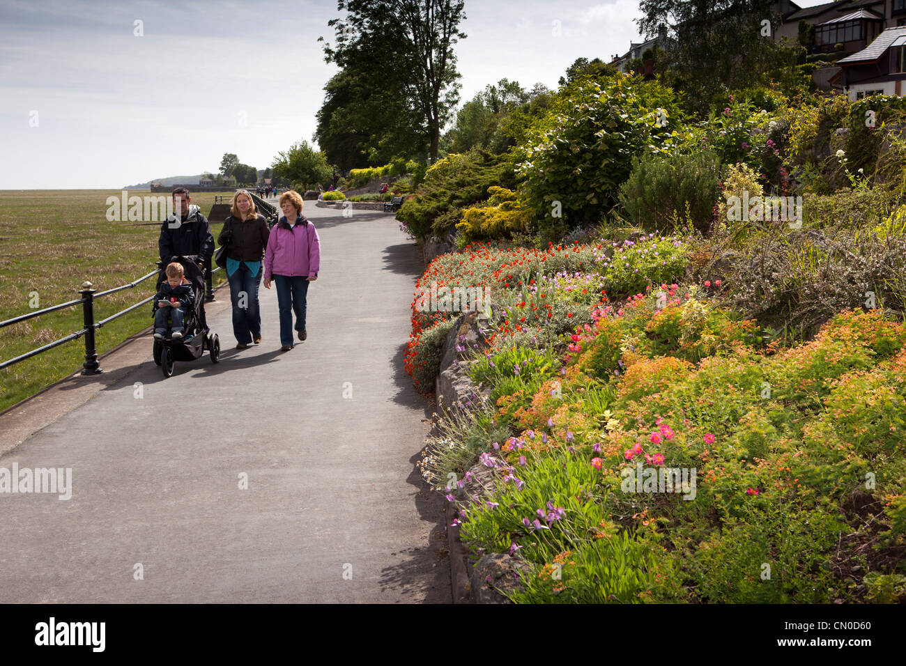 UK, England, Cumbria, Grange Over Sands, visitors walking along ...