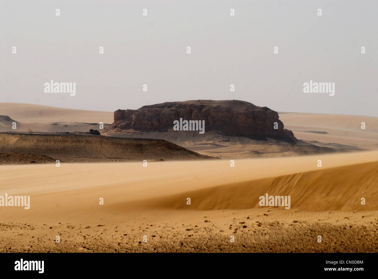Western Desert Egypt Stock Photo - Alamy