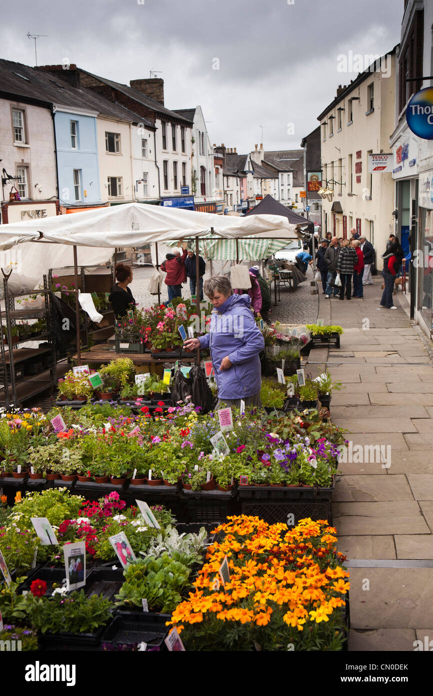 UK, Cumbria, Ulverston, Market Street, plant and flower stall in weekly ...