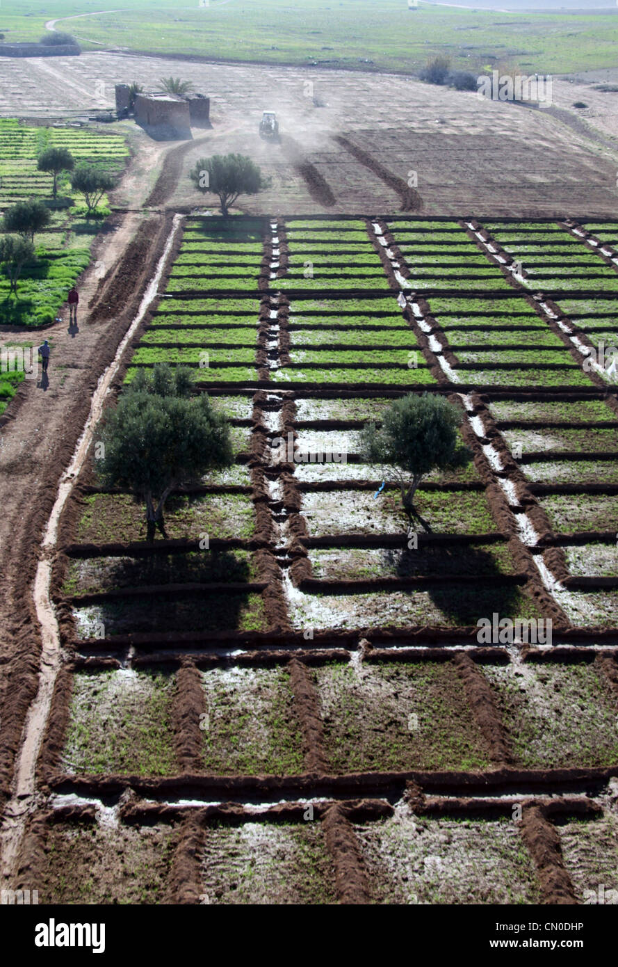 Agriculture in the Moroccan Desert seen from a Hot Air Balloon Stock ...