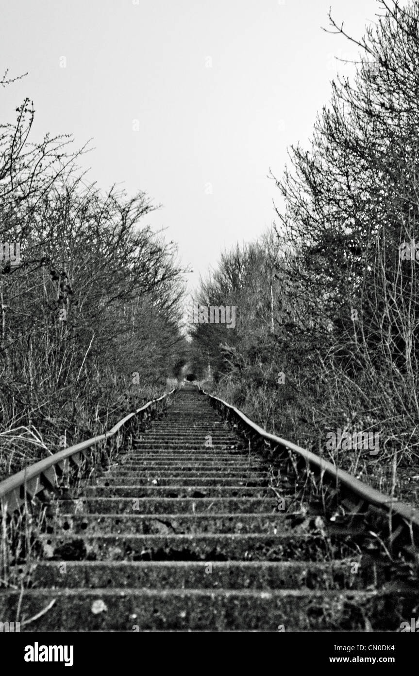 Abandoned rail line hi-res stock photography and images - Alamy