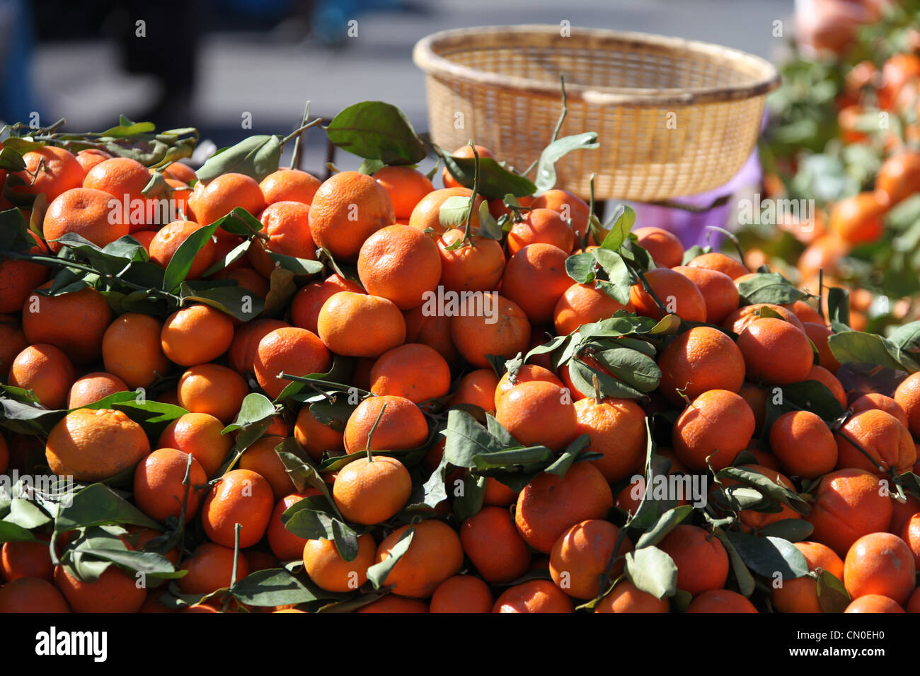 Moroccan maroc hi-res stock photography and images - Alamy