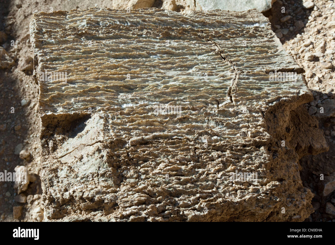 Minerals Deposits Wadi Uziyahu Eilat Massif Reserve Israel Stock Photo ...