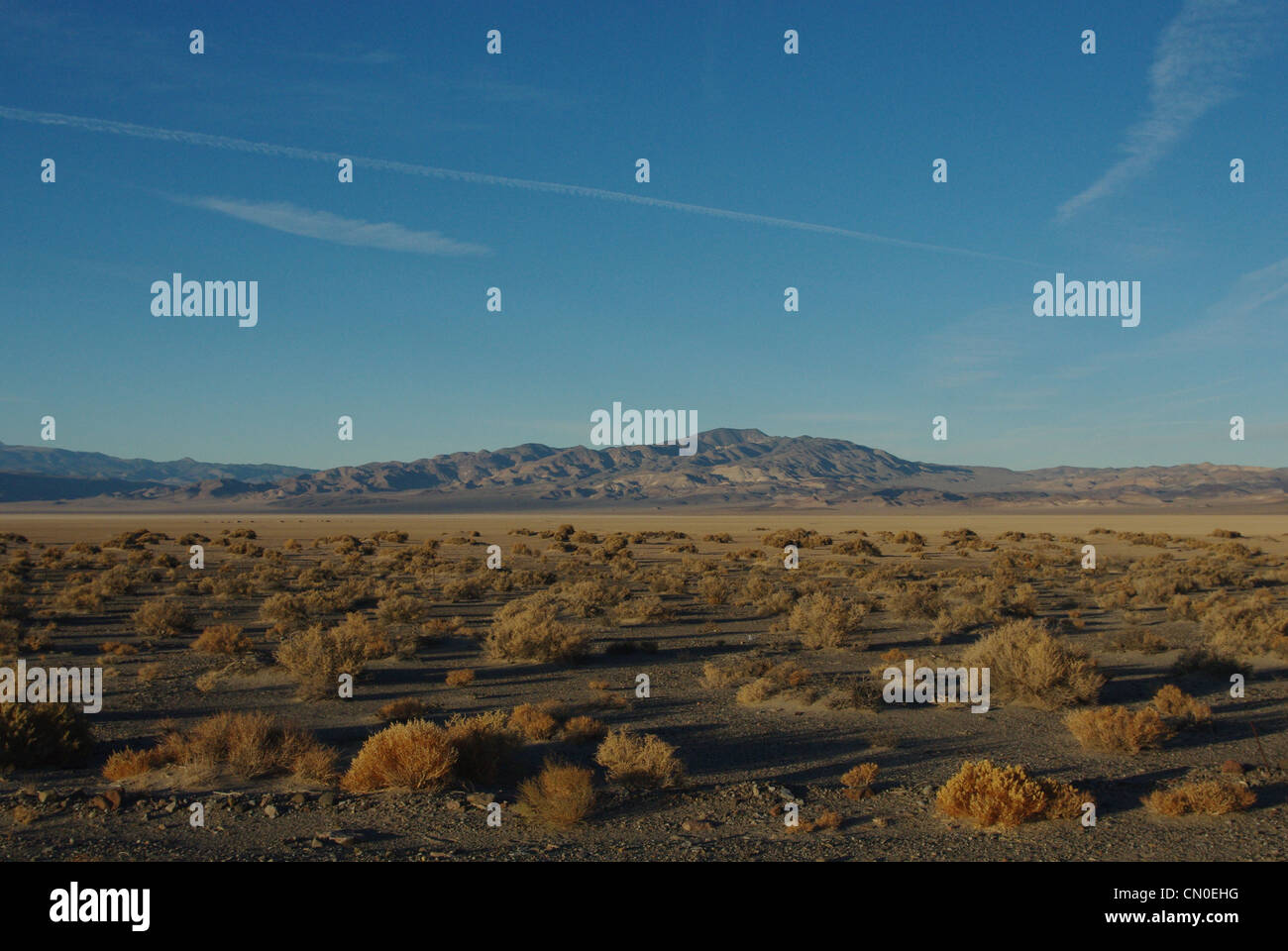 Desert open space hi-res stock photography and images - Alamy