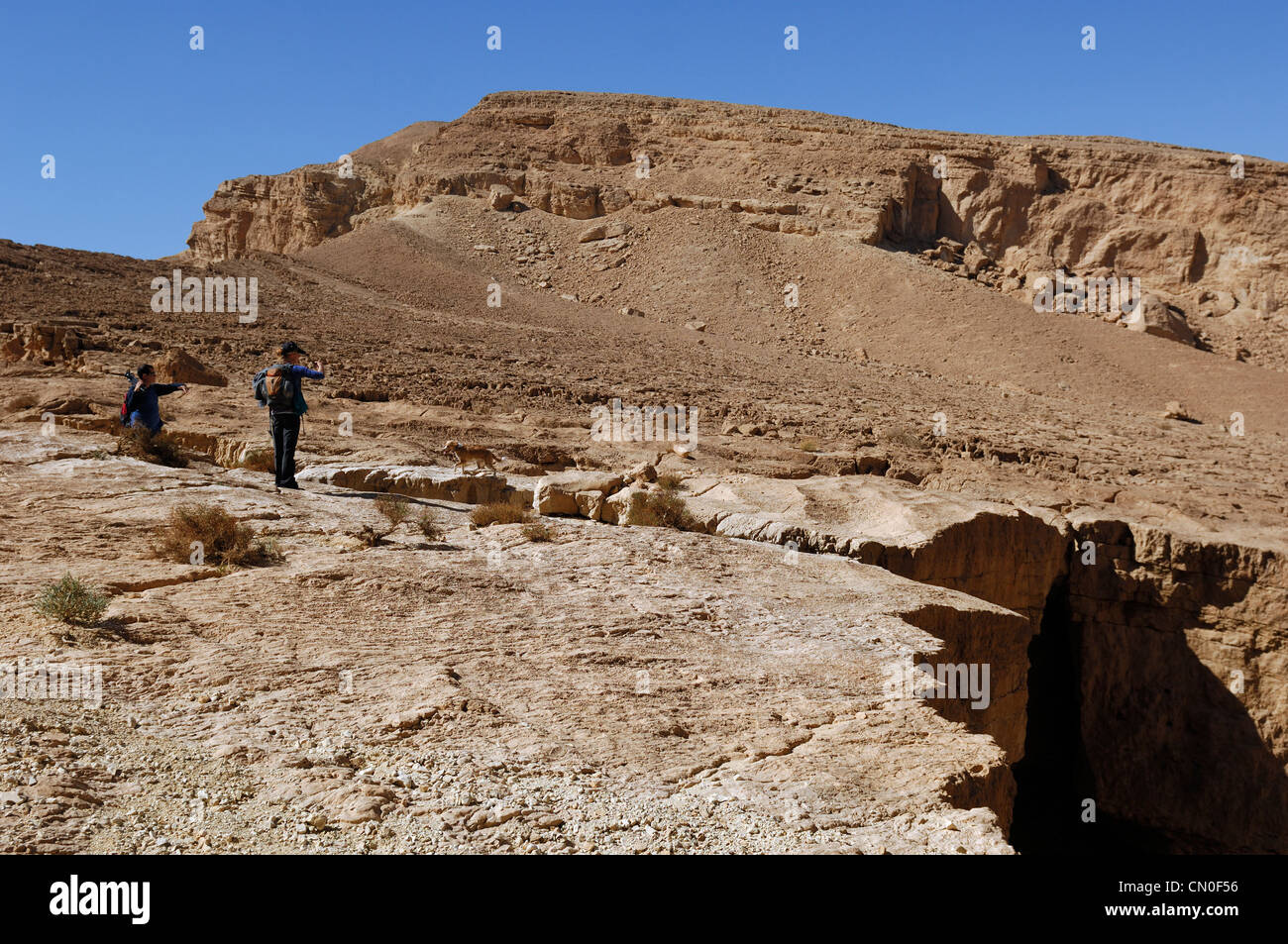 Negev desert travel destination hi-res stock photography and images - Alamy
