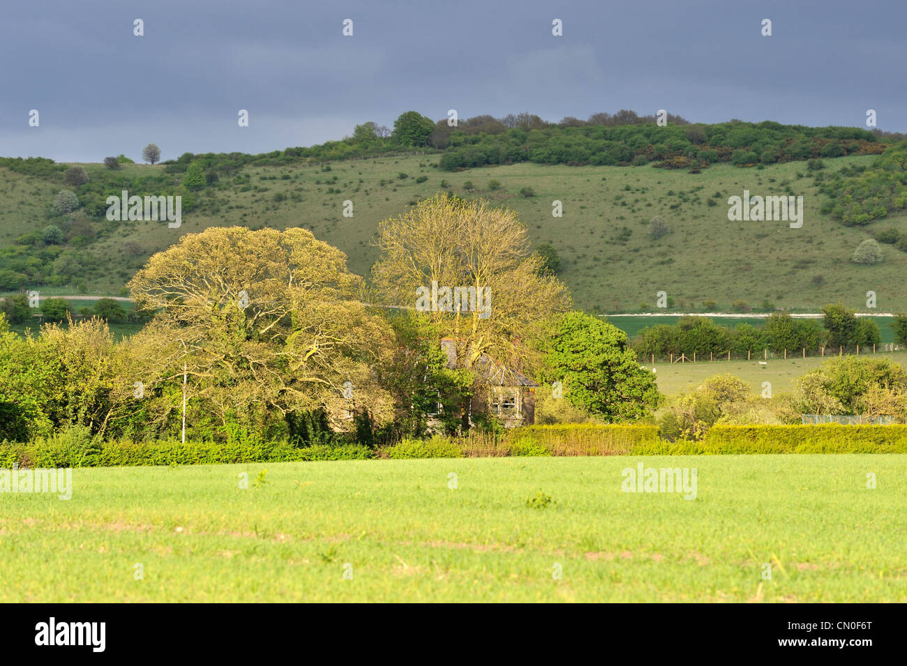 Ivinghoe village hi-res stock photography and images - Alamy
