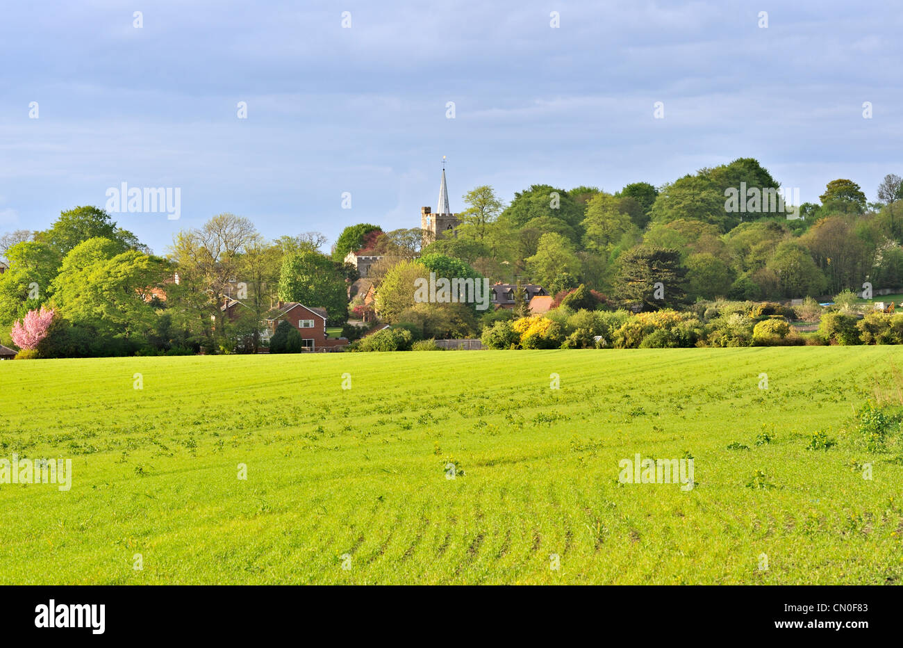 Ivinghoe village hi-res stock photography and images - Alamy