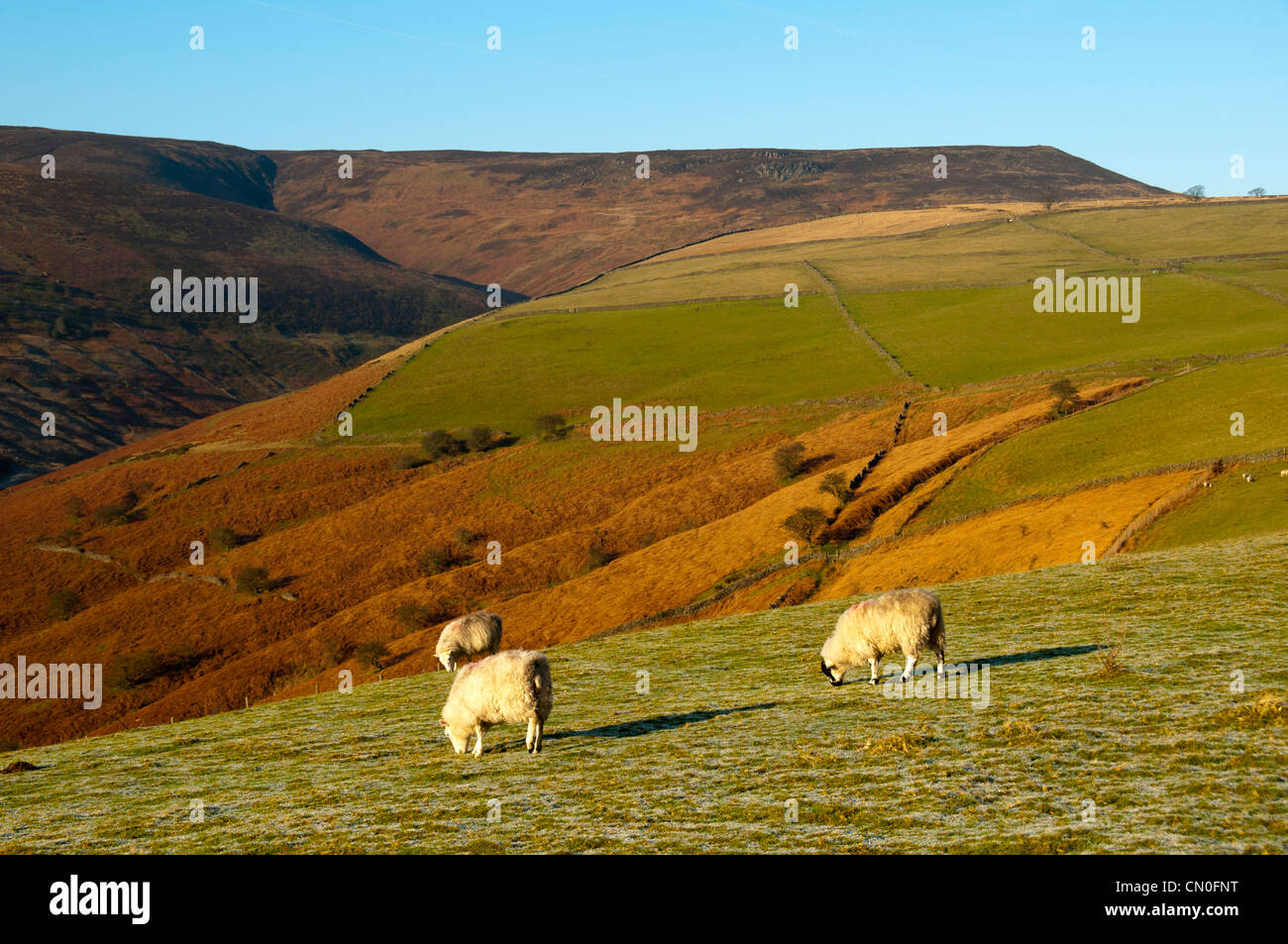 Nether Moor at the east end of the Kinder Scout plateau. Above Edale ...