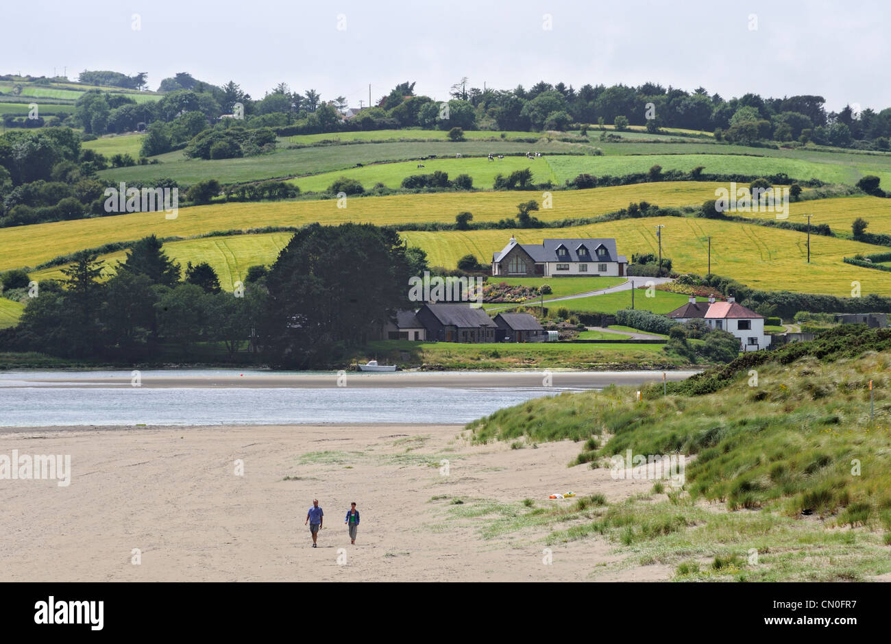 Coastal view, Inchydoney, West Cork, Ireland Stock Photo - Alamy
