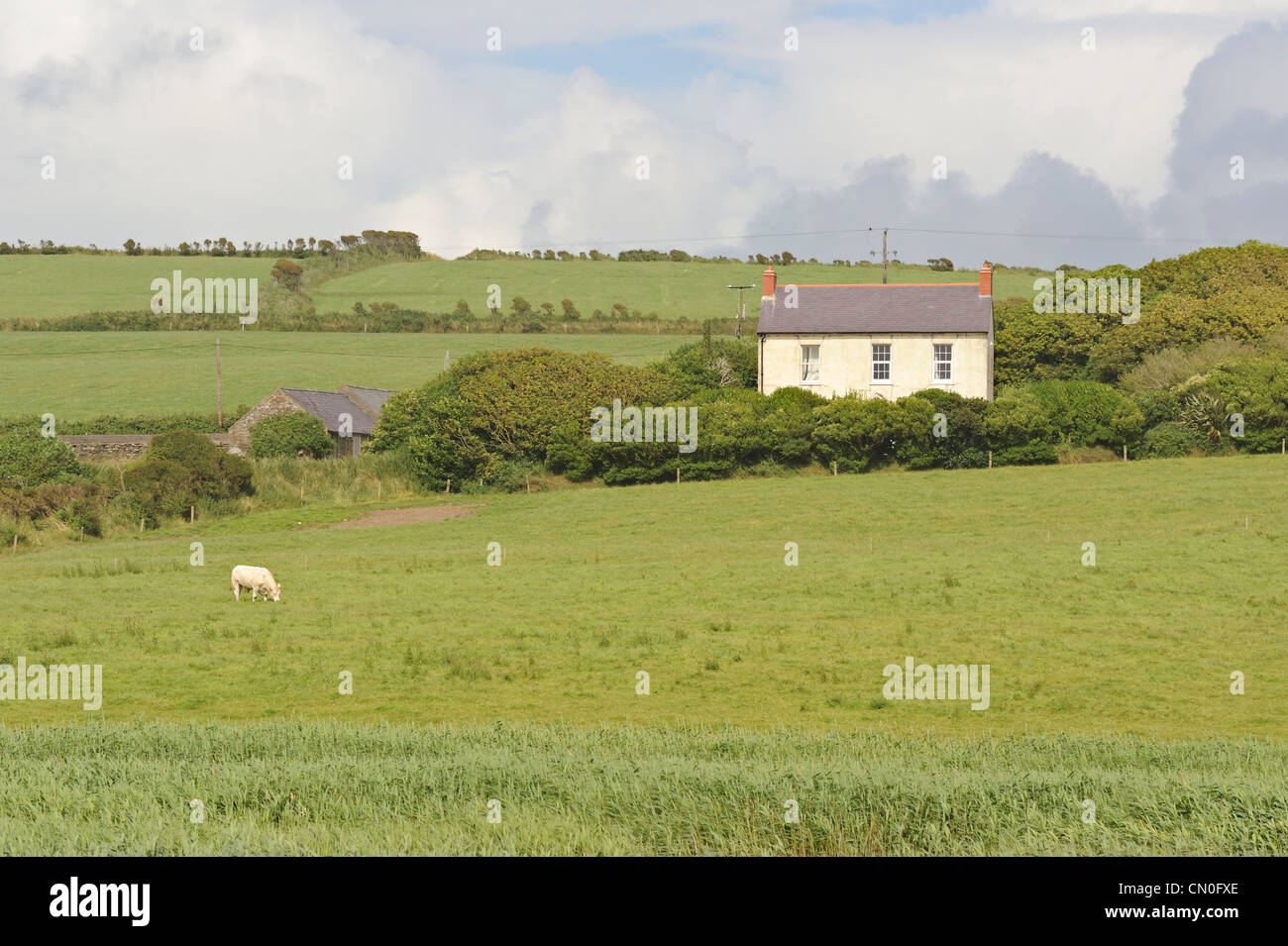 Garretstown hi-res stock photography and images - Alamy