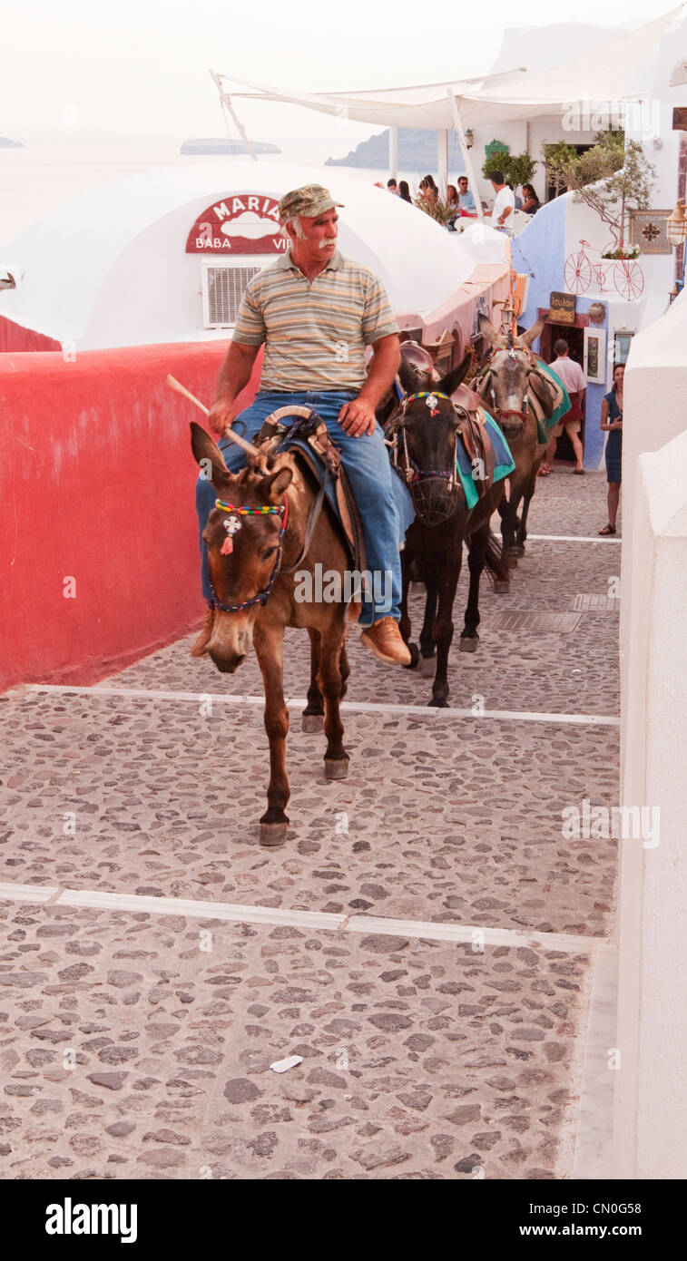 Mule driver hi-res stock photography and images - Alamy