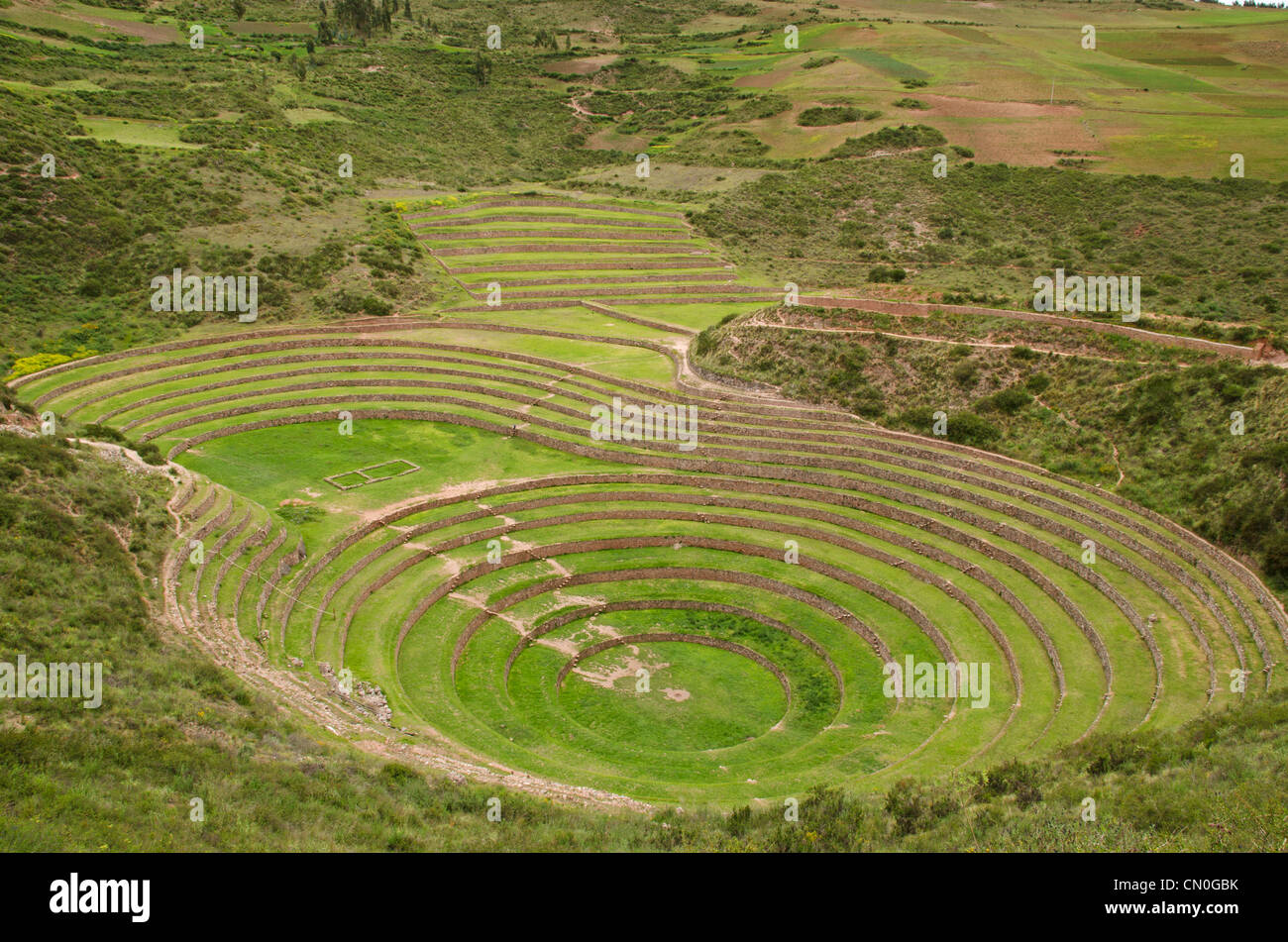 Agricultural Inca Terraces at Moray, Peru Stock Photo - Alamy