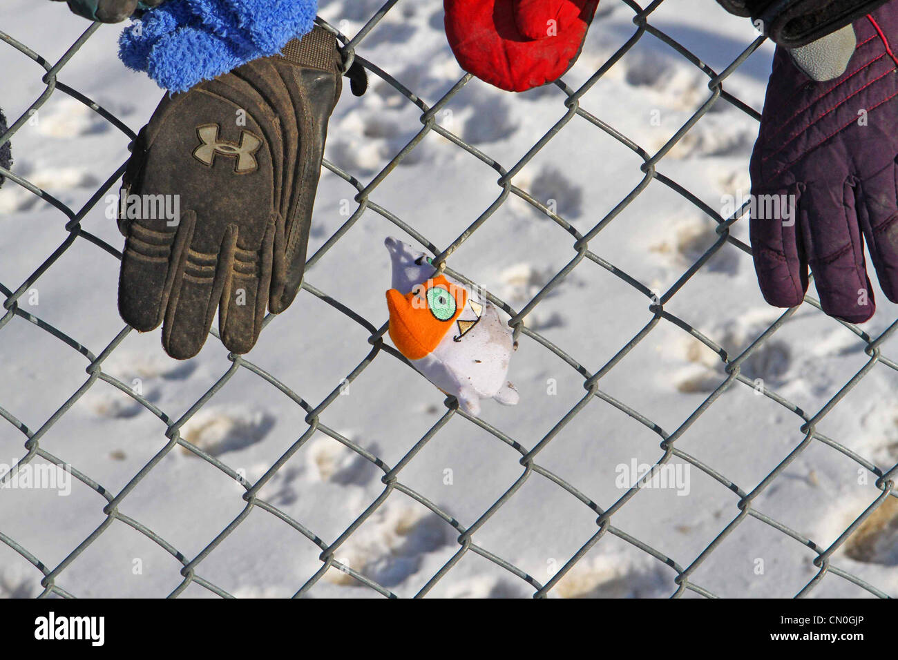Lost mittens and hats by a park pathway attached to a chain link fence ...