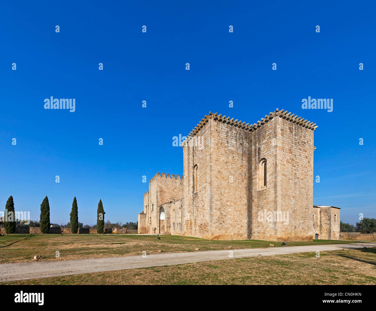 Flor Da Rosa High Resolution Stock Photography and Images - Alamy