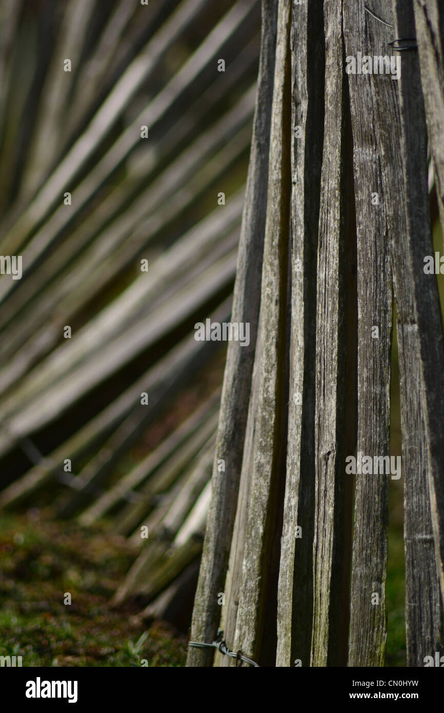 Old Weathered Fencing Stock Photo - Alamy