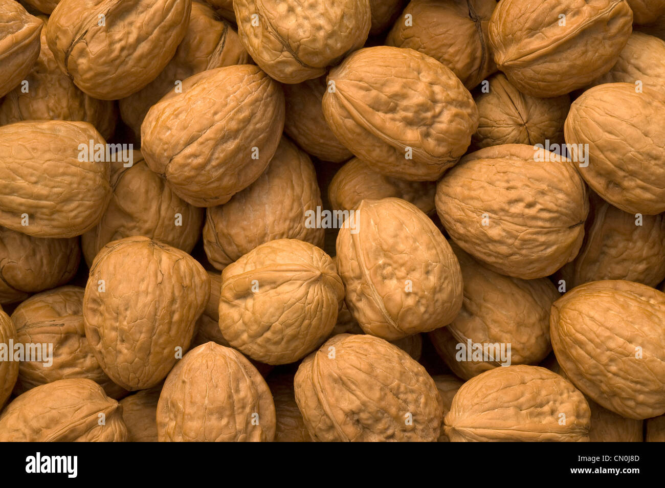 Fresh walnuts in their shells Stock Photo - Alamy