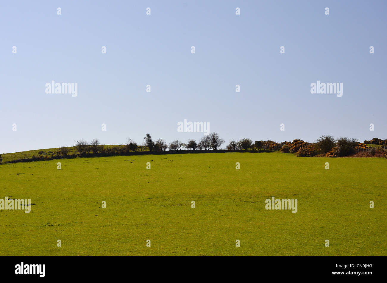 Empty field uk hi-res stock photography and images - Alamy