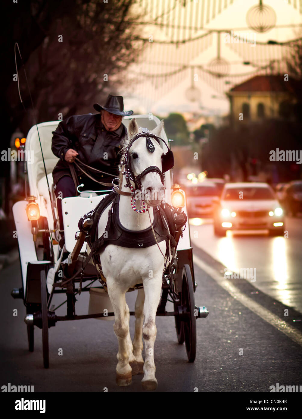 Horse coachman hi-res stock photography and images - Alamy