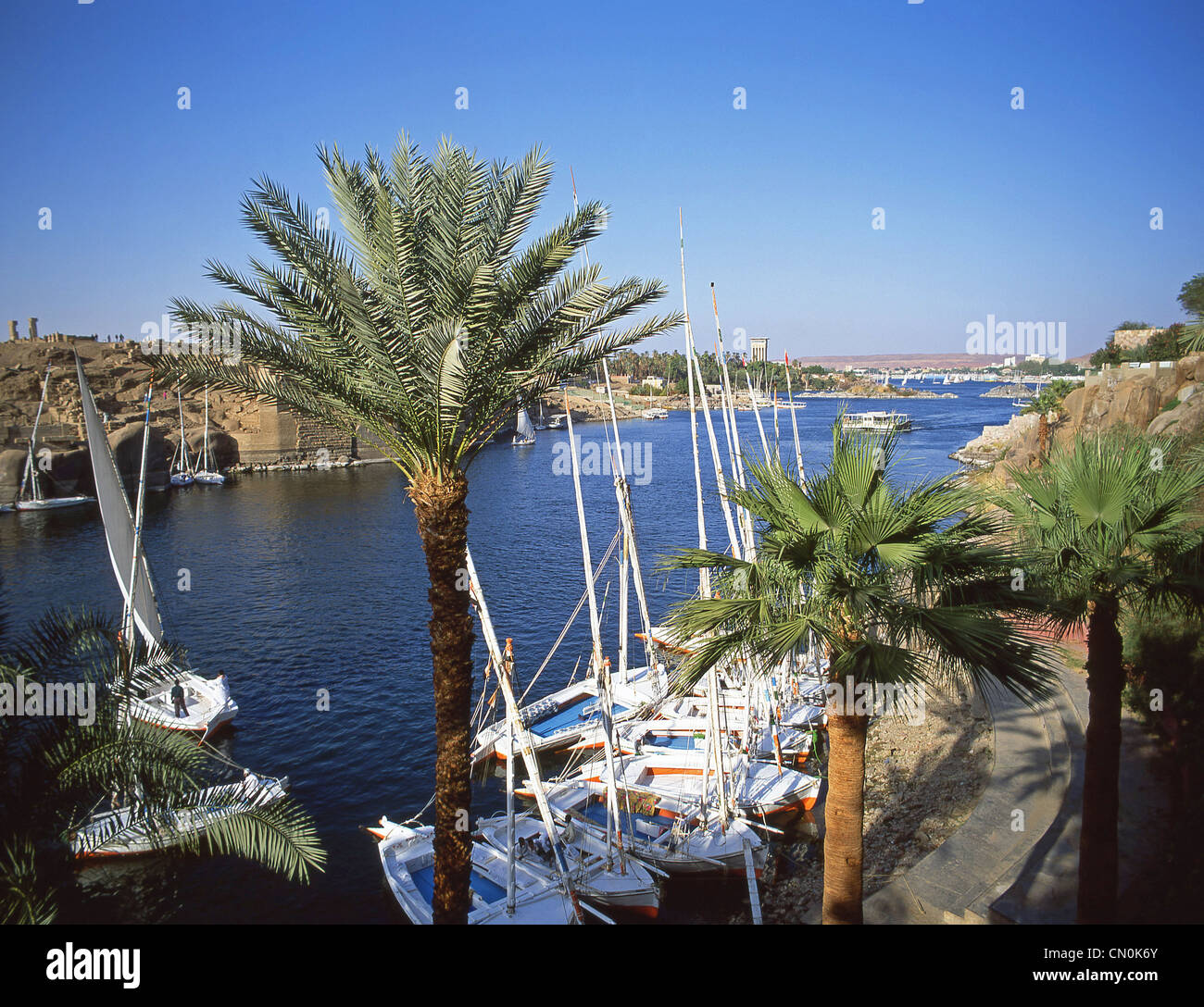Nile river palm trees hi-res stock photography and images - Alamy