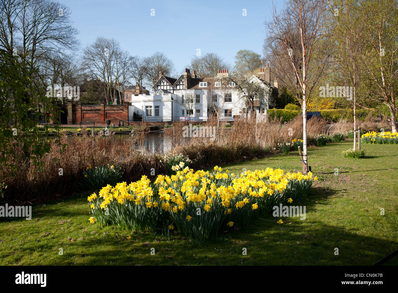 Carshalton ponds hi-res stock photography and images - Alamy