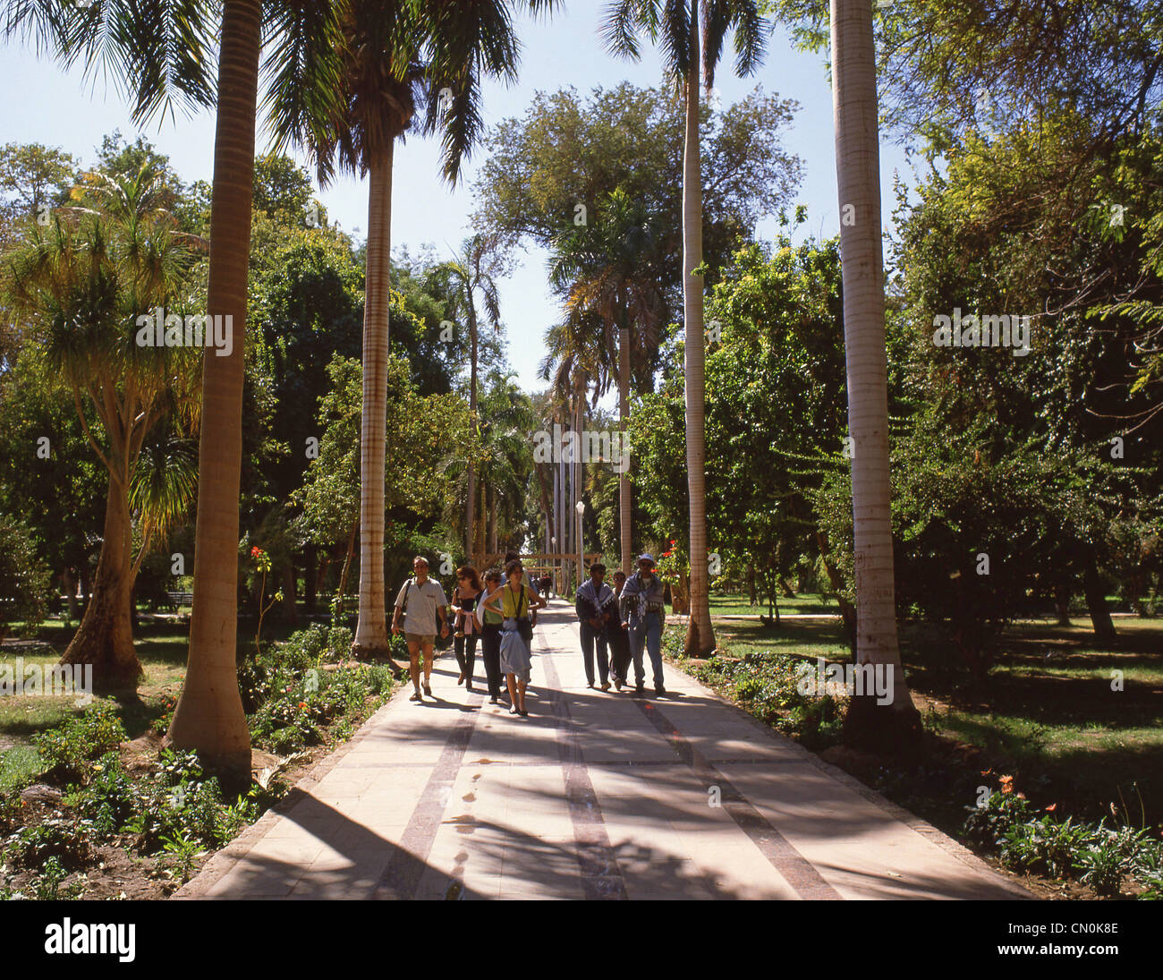Aswan botanical garden hi-res stock photography and images - Alamy