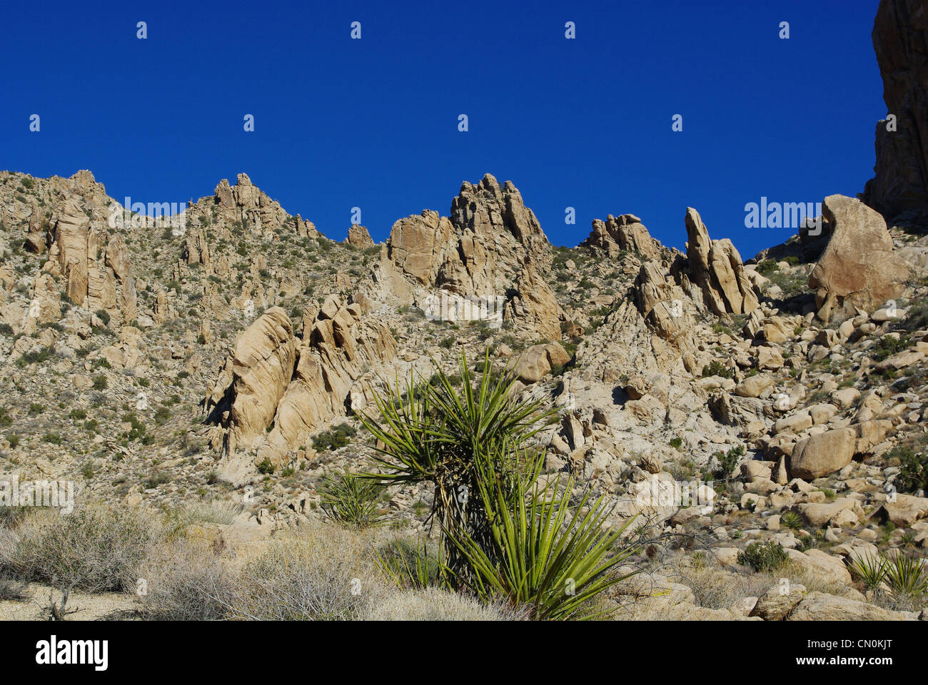 Yucca Mountain Nevada High Resolution Stock Photography and Images - Alamy