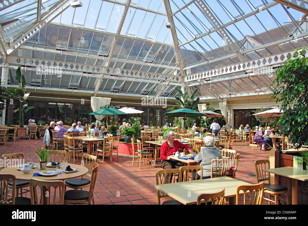 Consevatory cafe at Denbies Wine Estate, Dorking, Surrey, United ...