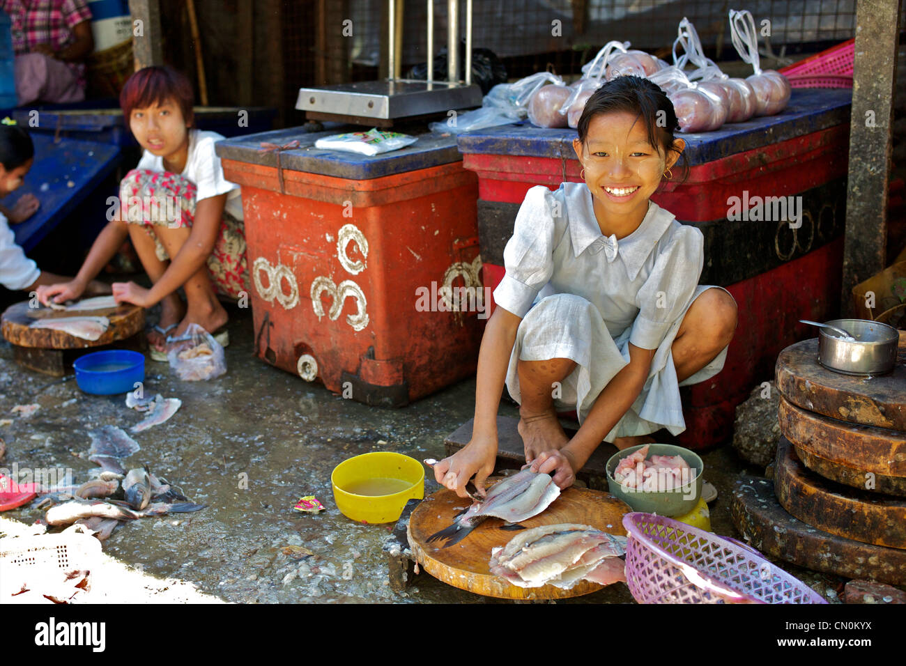 A young Burmese girl cleans fish in the fish market in Kyee Myin Daiang ...