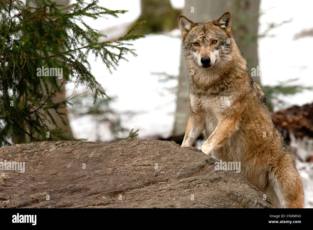 Curious experience hi-res stock photography and images - Alamy