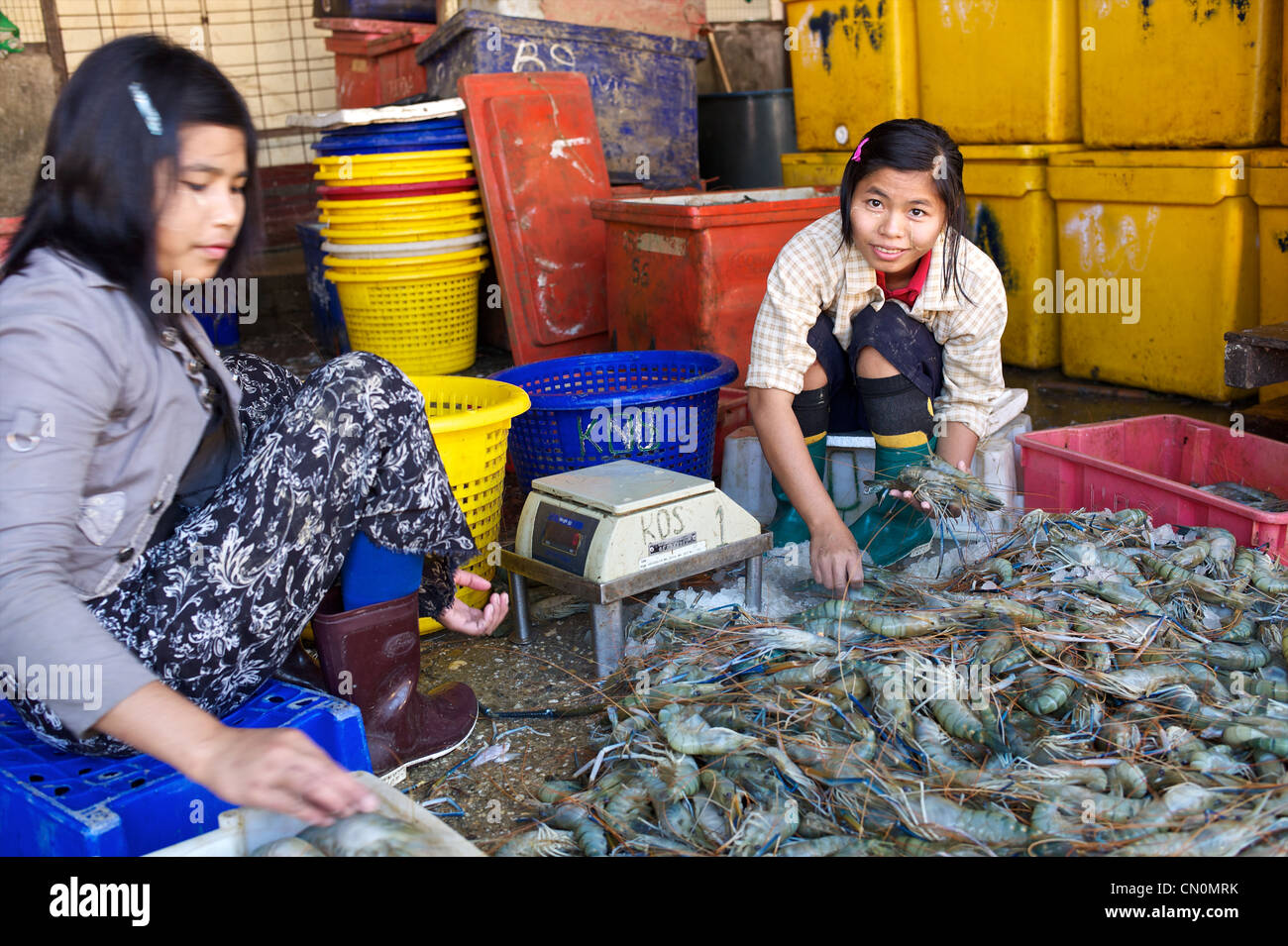 Two young Burmese girls process fresh prawns in fish market in 'Kyee ...