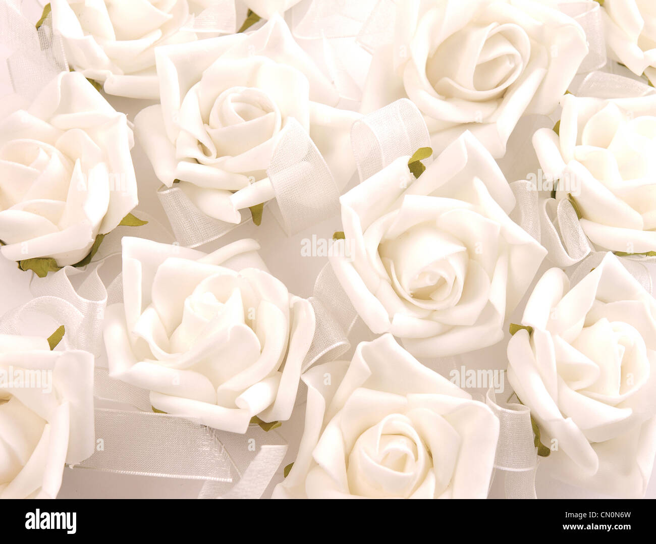 Rose plan hi-res stock photography and images - Alamy