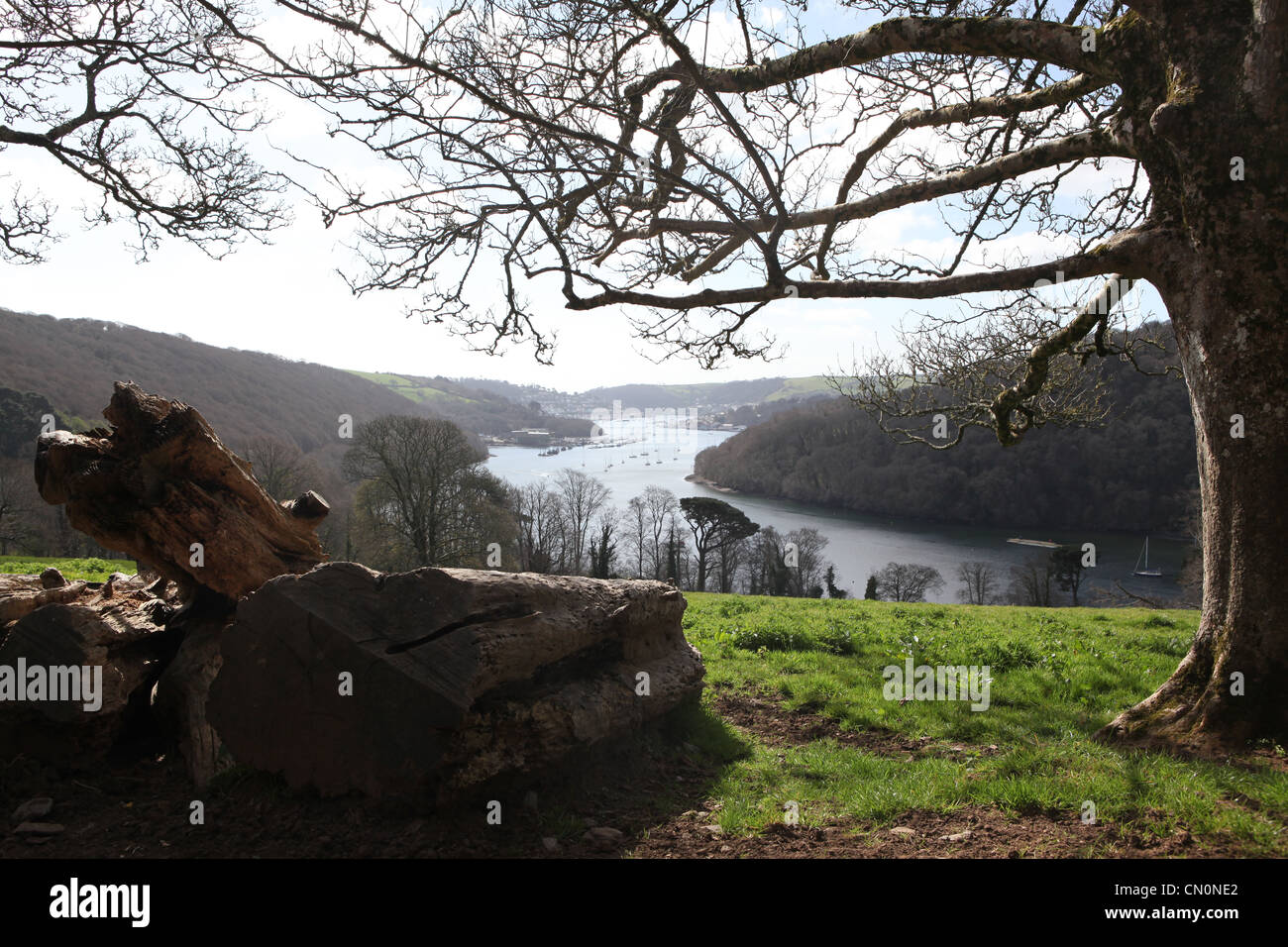 Down the Dart Stock Photo - Alamy