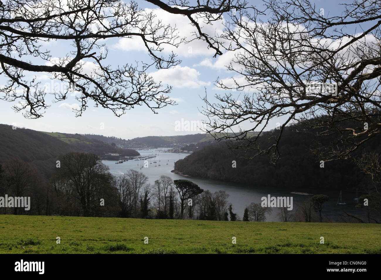 Tree and dart hi-res stock photography and images - Alamy