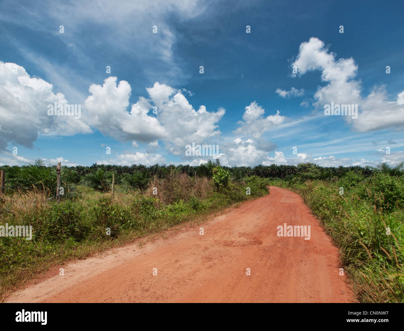Tropical countryside hi-res stock photography and images - Alamy