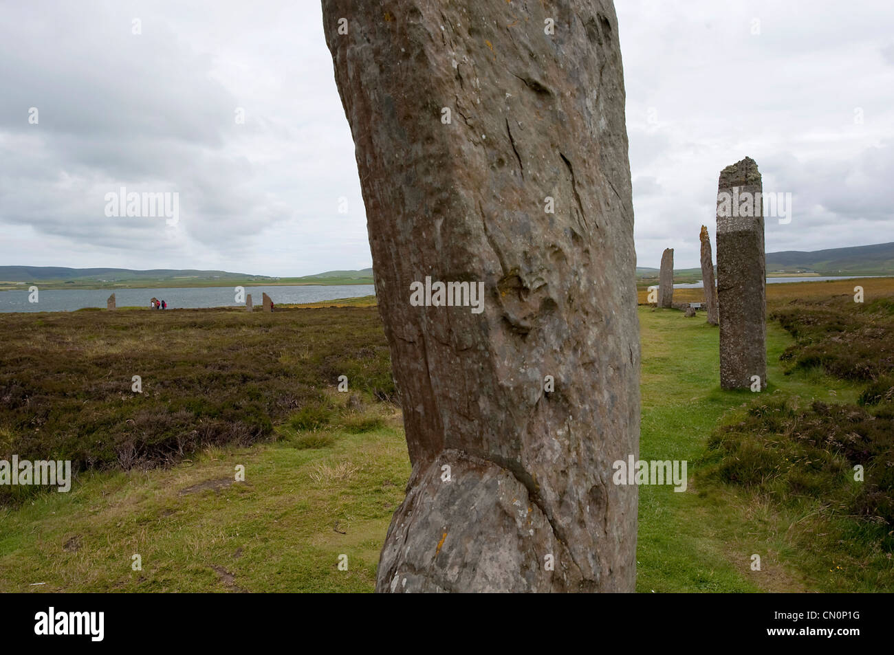 A stone in the Neolithic henge circle of Ring of Brodgar on the Orkney ...