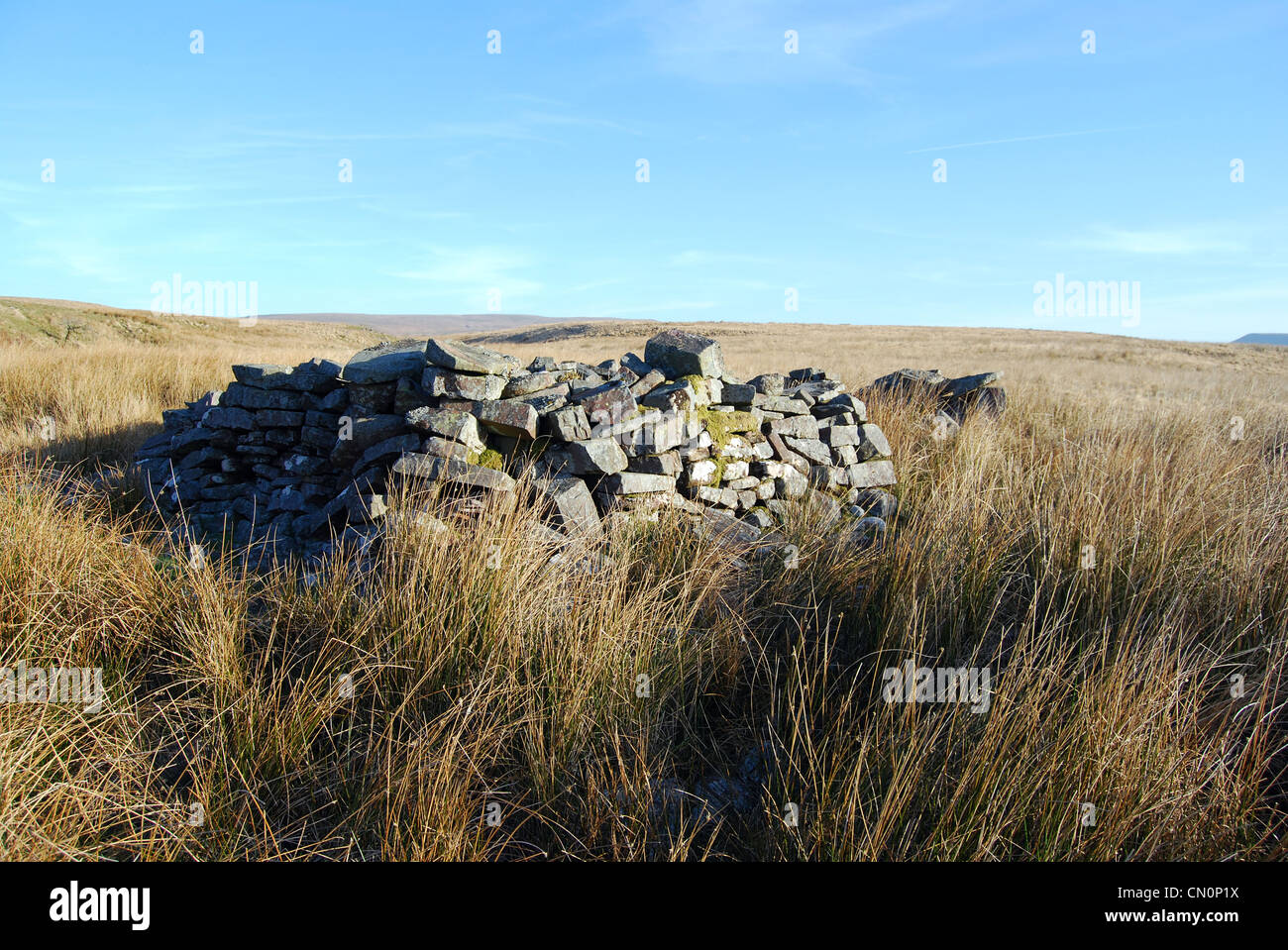 Sheep fold hi-res stock photography and images - Alamy