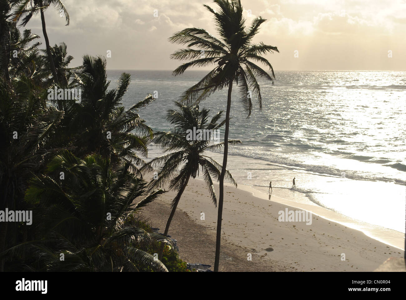 Early morning in Barbados Stock Photo - Alamy