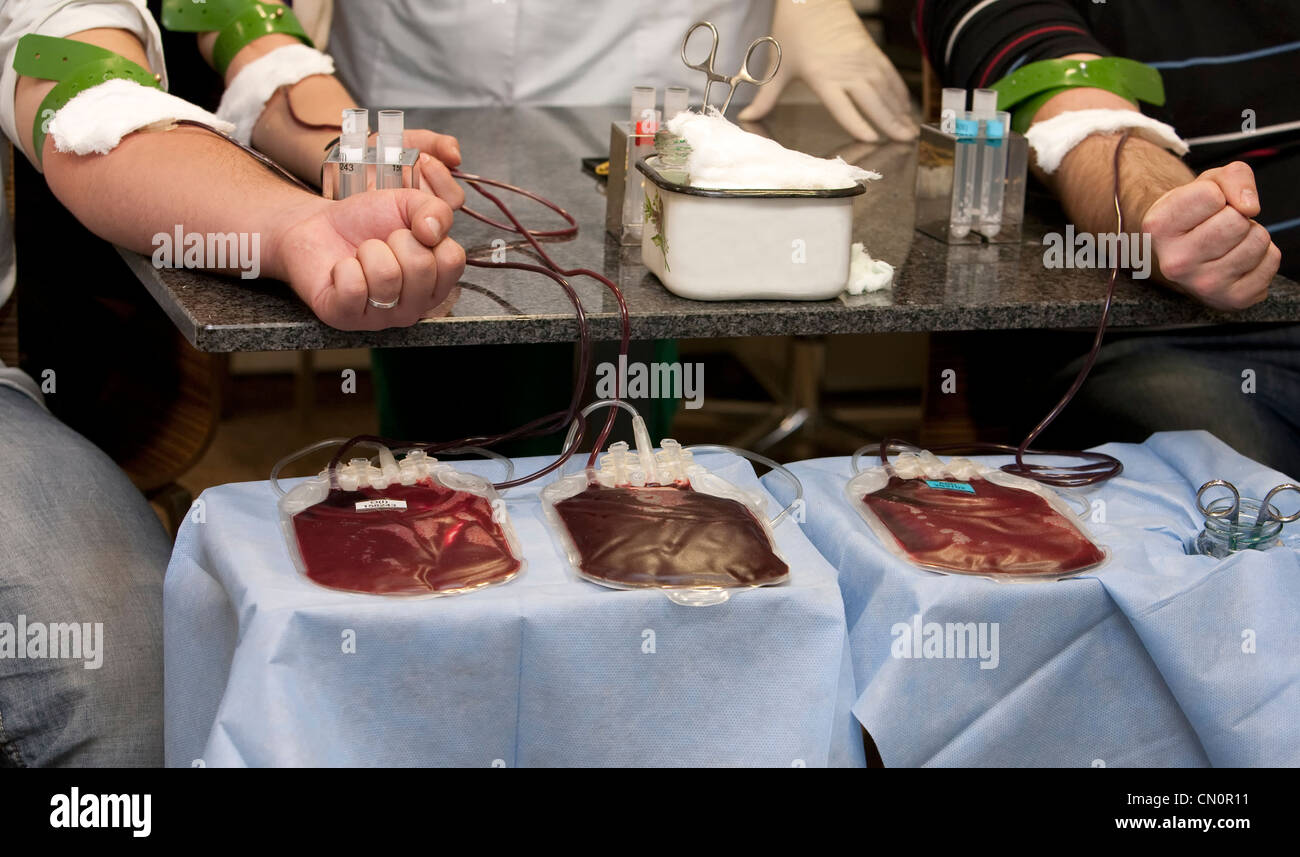 blood donation, hands with rubber tourniquet used in blood draw ...