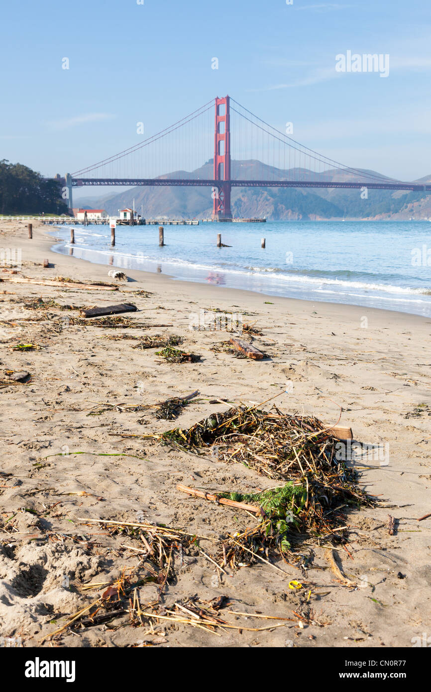 Crissy field hi-res stock photography and images - Alamy