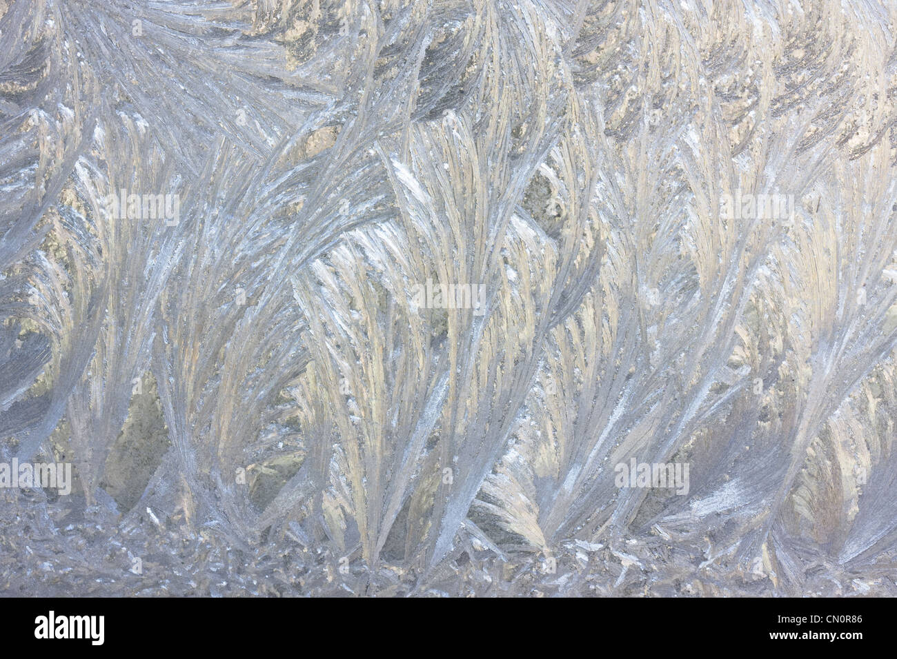 Fern-like structures in frostwork on a window Stock Photo - Alamy