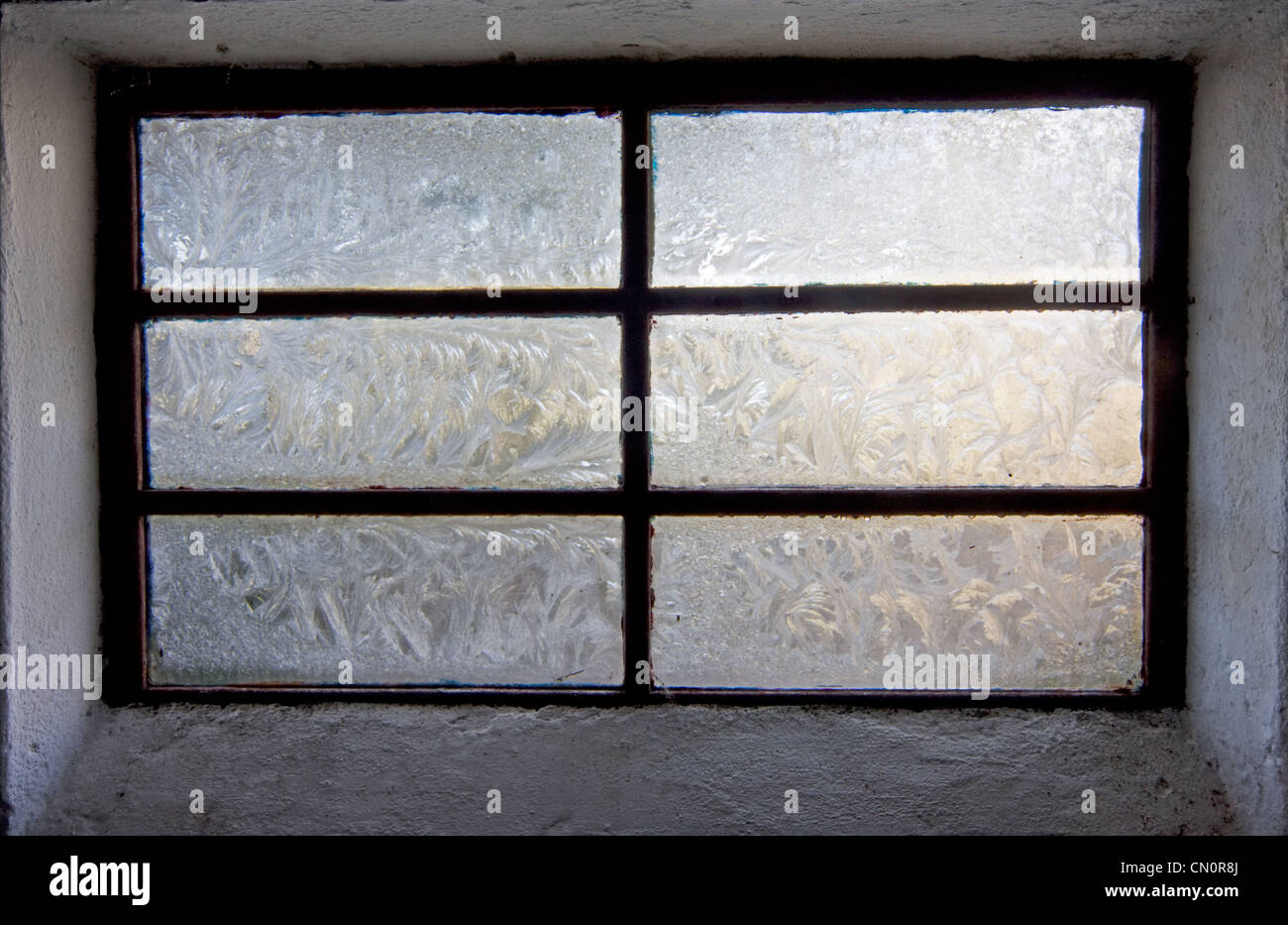 Fern-like structures in frostwork on a window of a stable Stock Photo ...