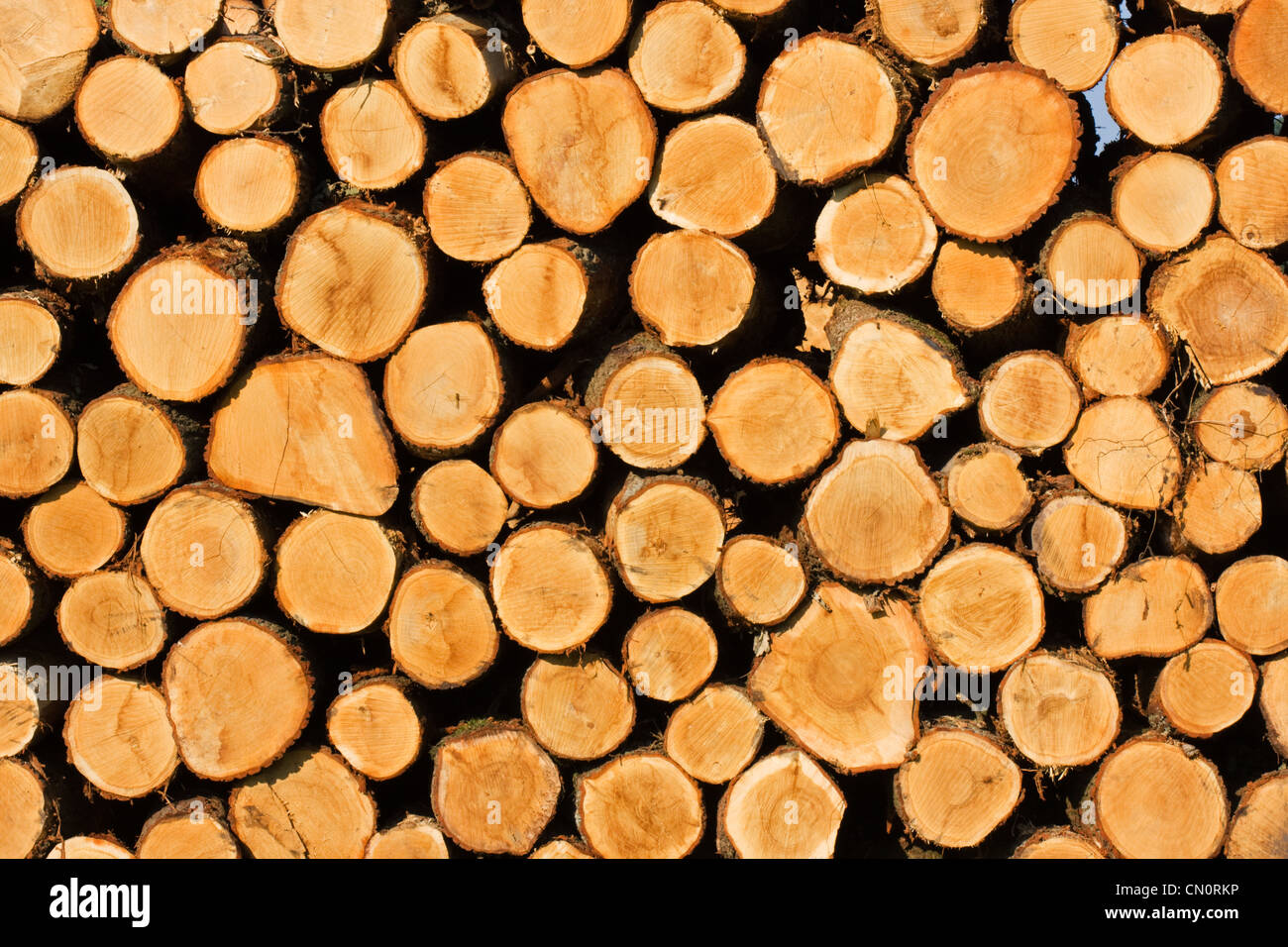 Pile of firewood Stock Photo - Alamy